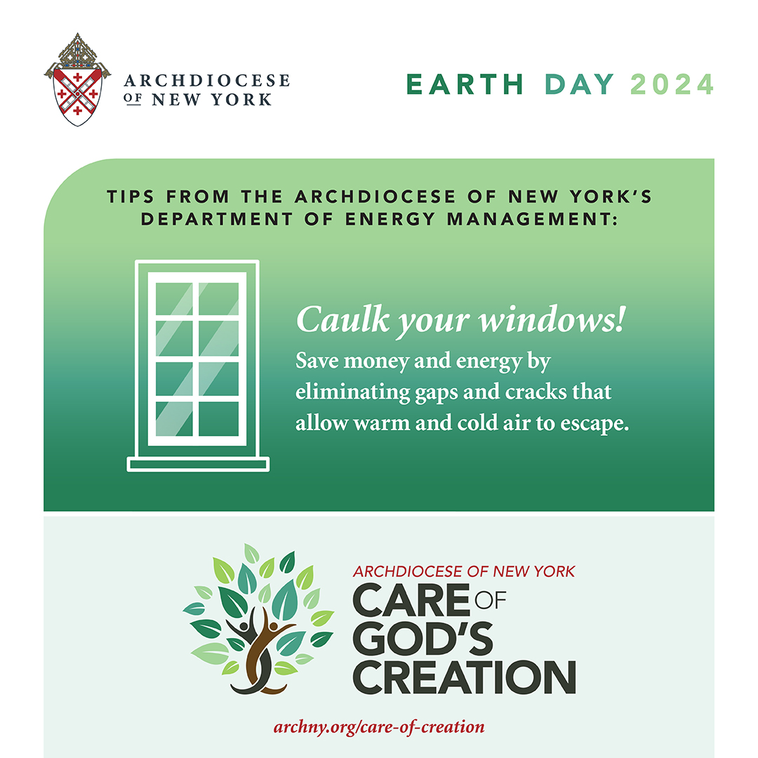 Care of God's Creation - Archdiocese of New York