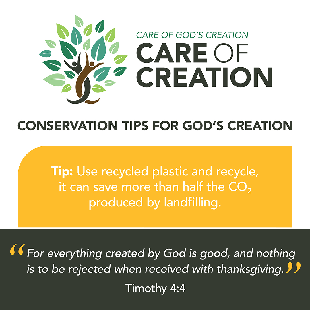 Care of God's Creation - Archdiocese of New York