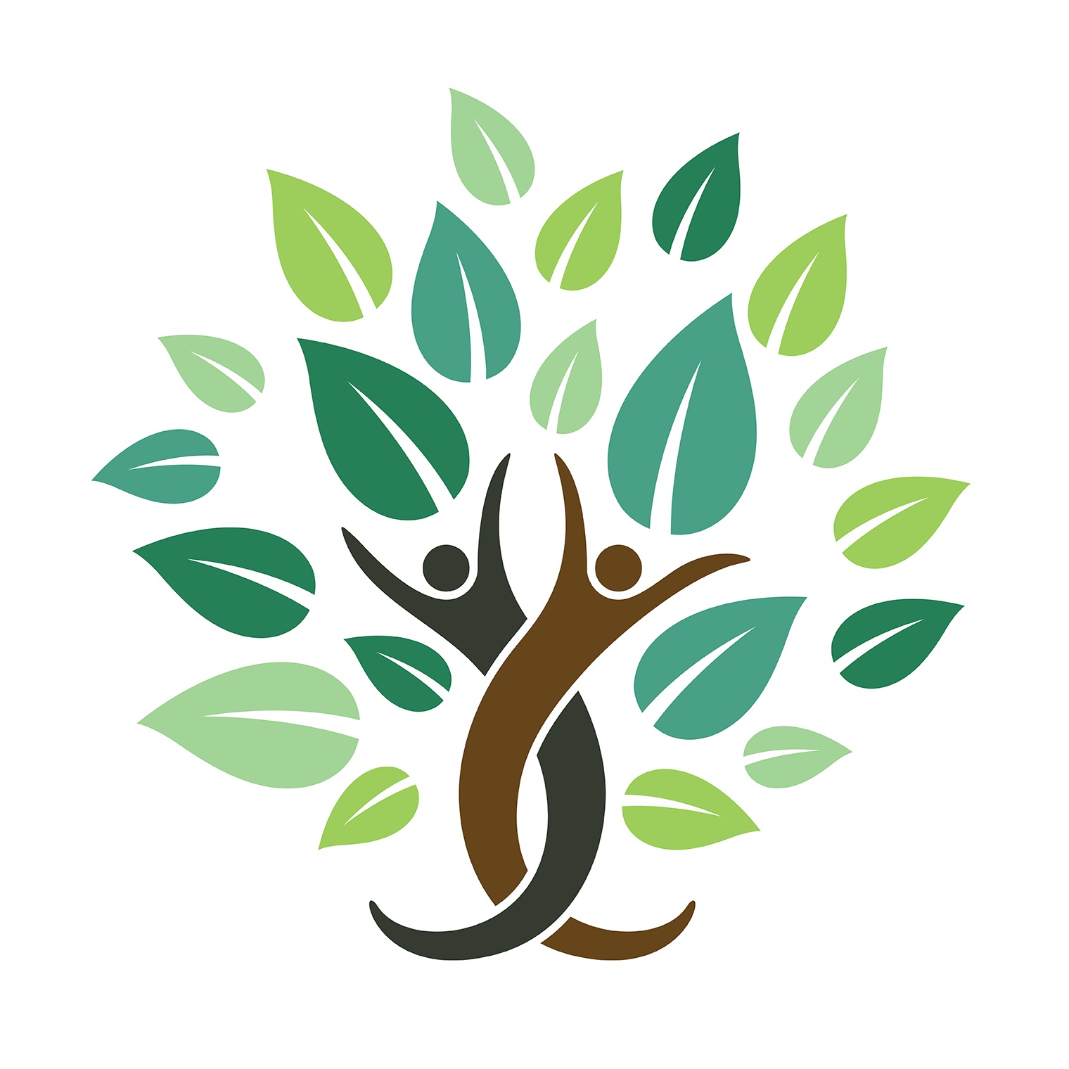 Care of God's Creation - Archdiocese of New York