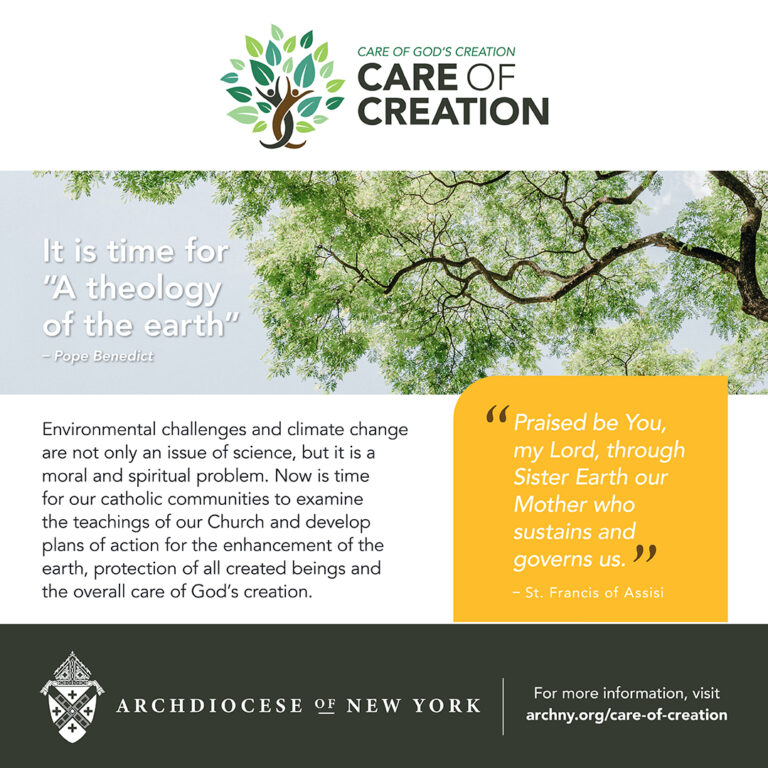 Care of God's Creation - Archdiocese of New York